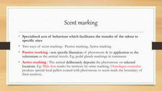 Pheromones& chemical communication | PPTX