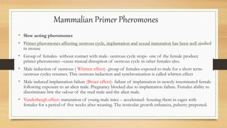Pheromones& chemical communication | PPTX | Beekeeping | Hobbies ...