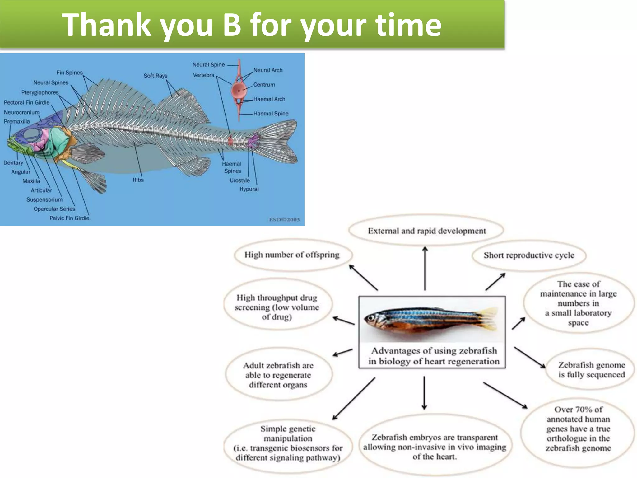 Pheromones in fishes and their applications in Fisheries and ...