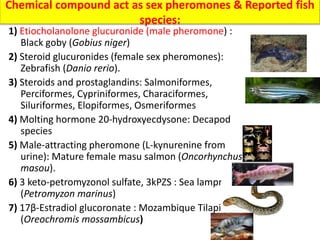 Pheromones in fishes and their applications in Fisheries and Aquaculturepptx | PPTX