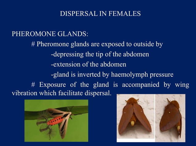 Pheromones synthesis perception and reception in insects | PPTX ...