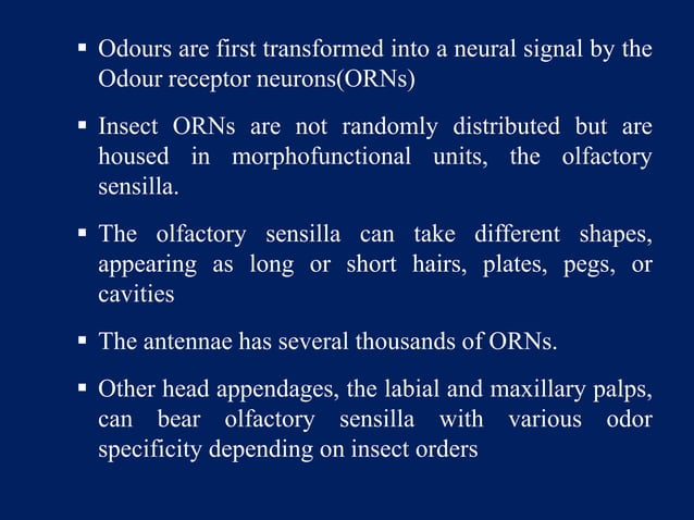 Pheromones synthesis perception and reception in insects | PPTX ...