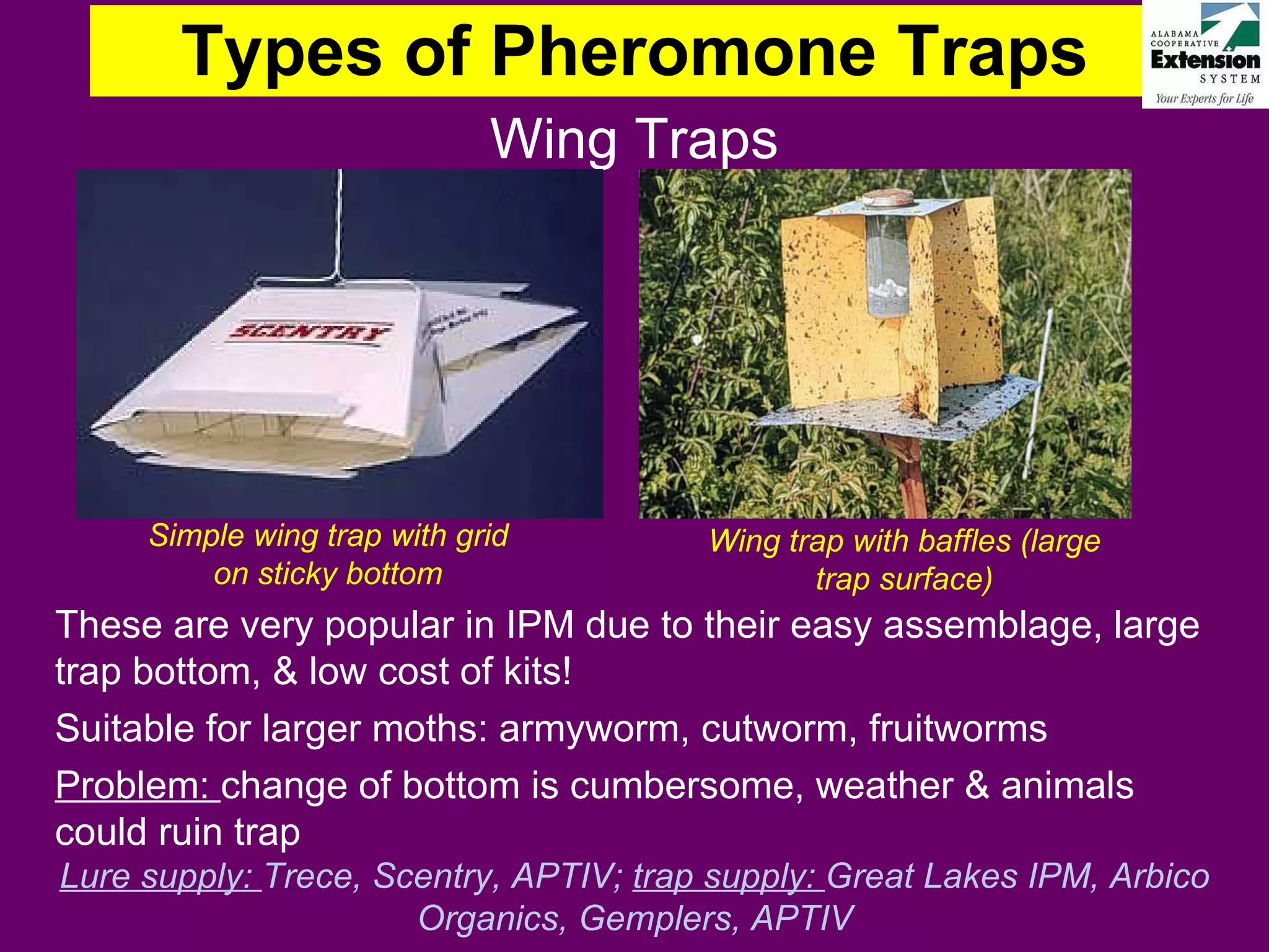 What are Insect Pheromone Traps | PPT
