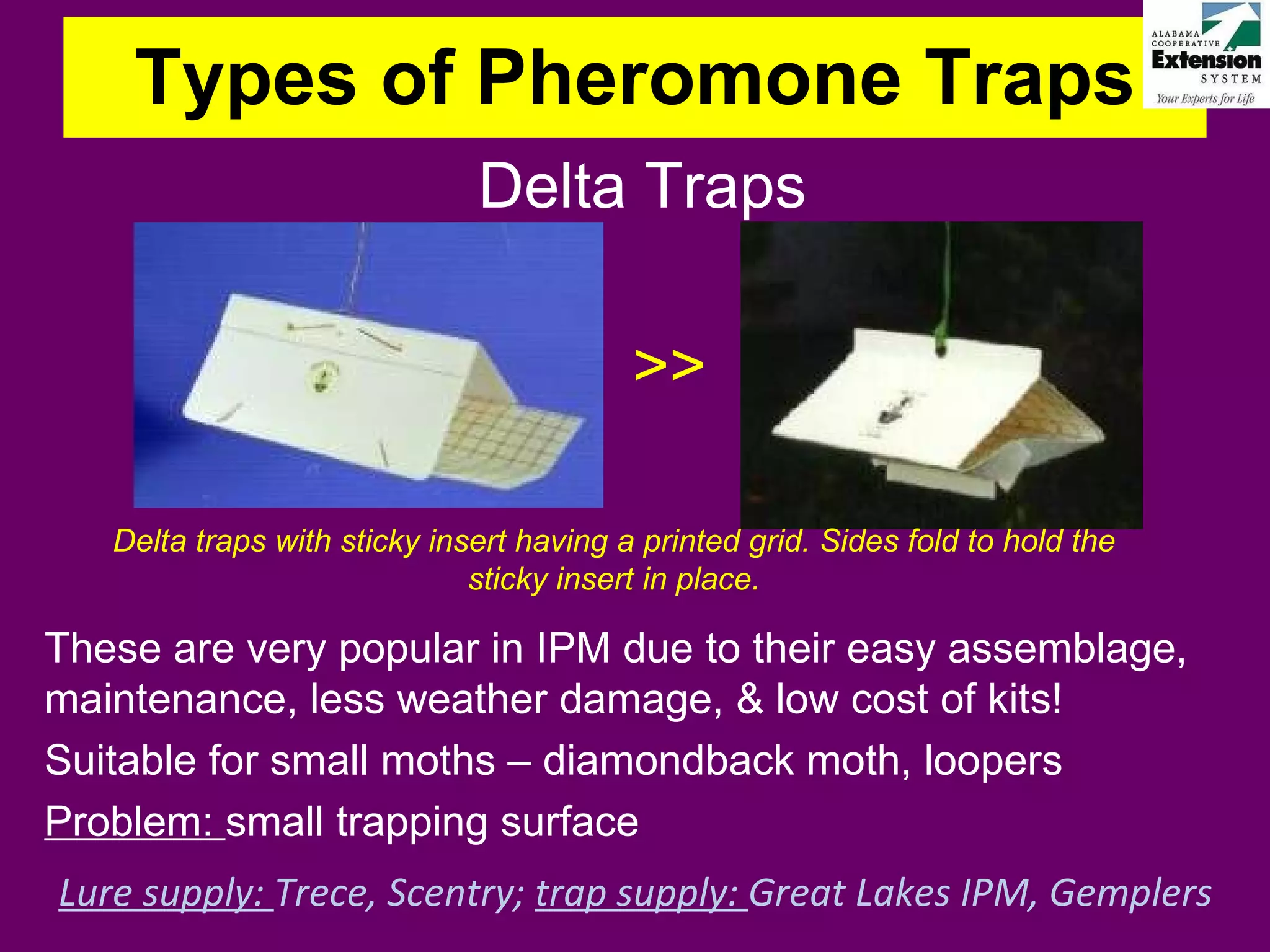 What are Insect Pheromone Traps | PPT