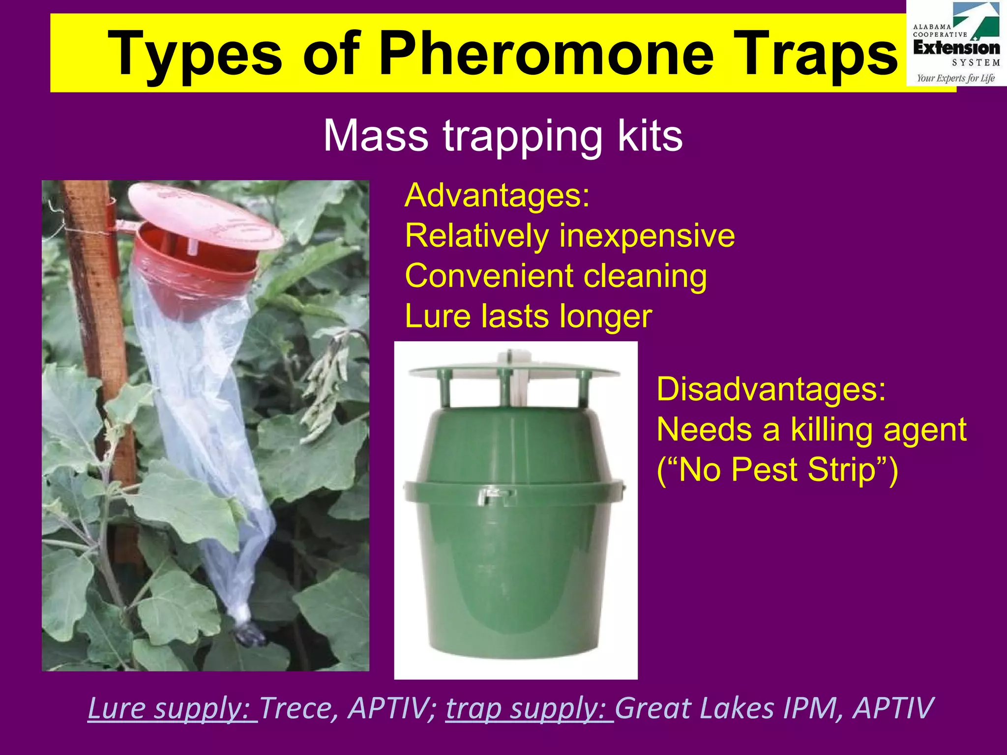 What are Insect Pheromone Traps | PPT
