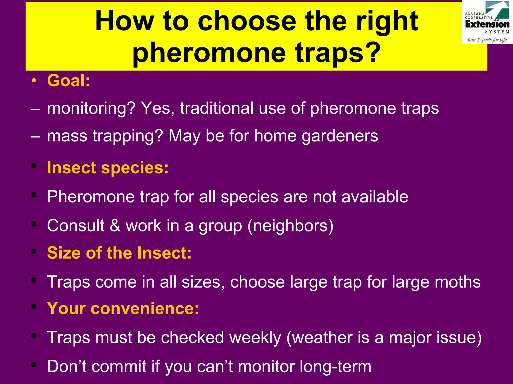 What are Insect Pheromone Traps | PPT