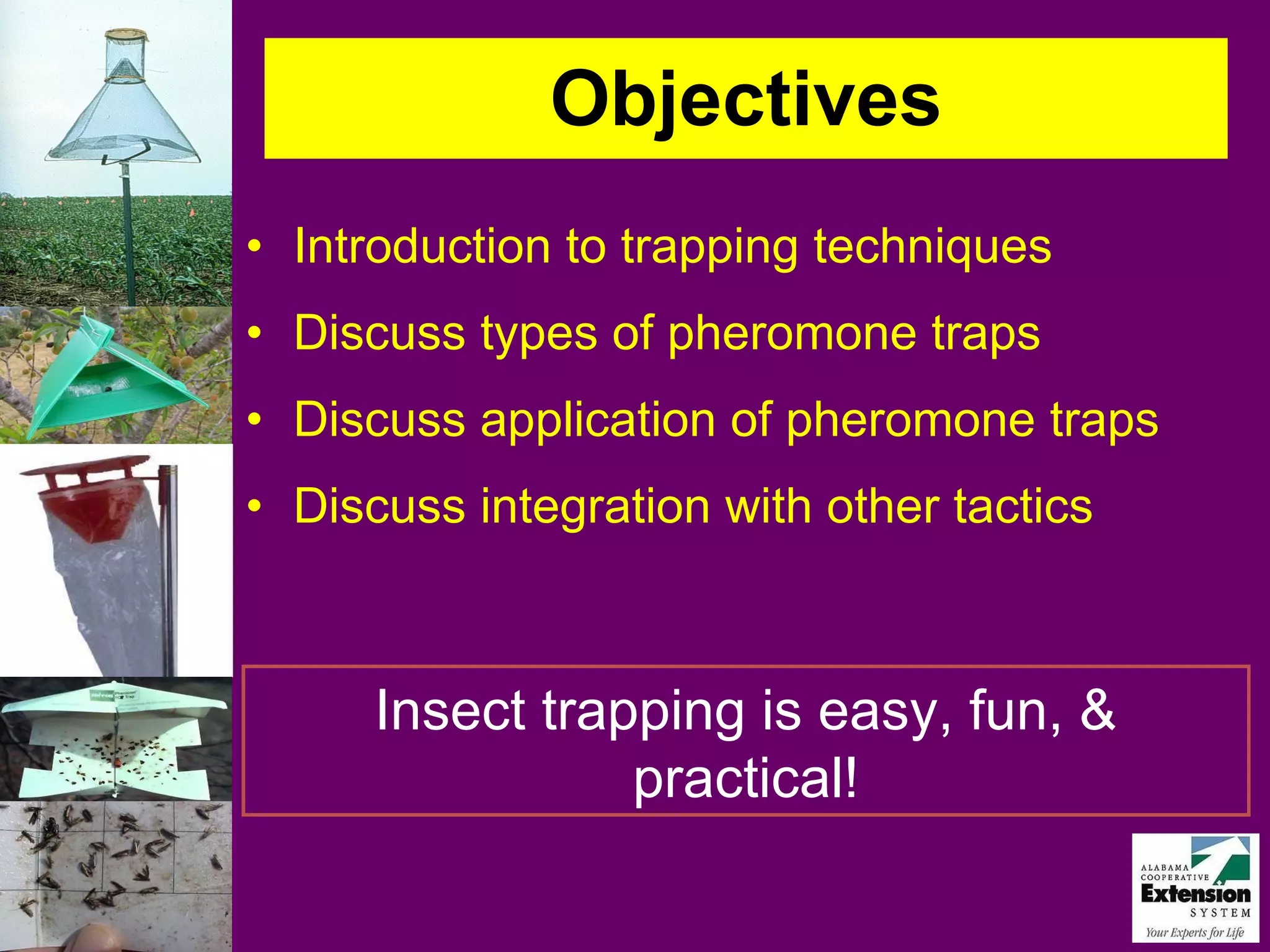 What are Insect Pheromone Traps | PPT