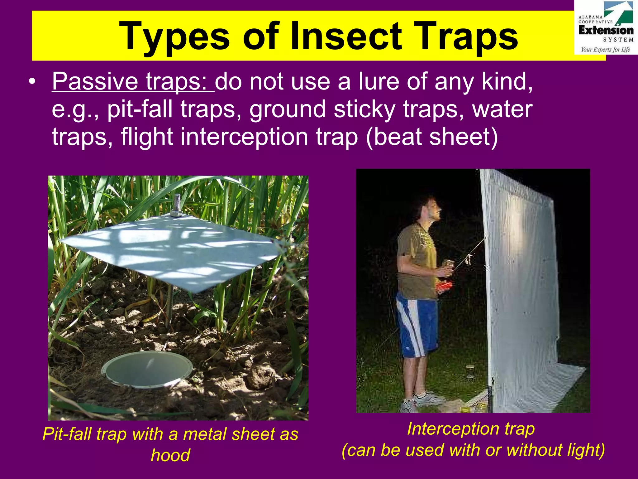 What are Insect Pheromone Traps | PPT
