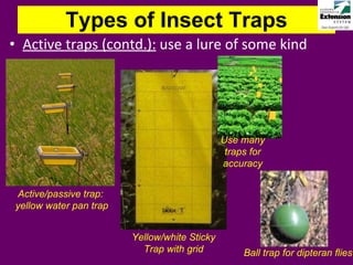 What are Insect Pheromone Traps | PPT