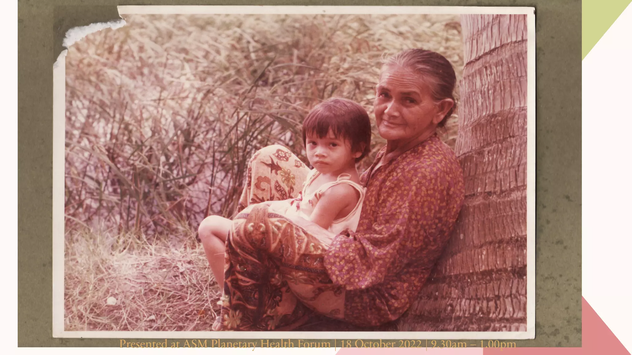 Professor Emerita Dato’ Dr Rashidah Shuib | PDF