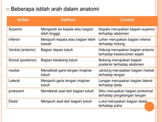 Struktur dan fungsi_anatomi_tubuh_mnusia | PPTX