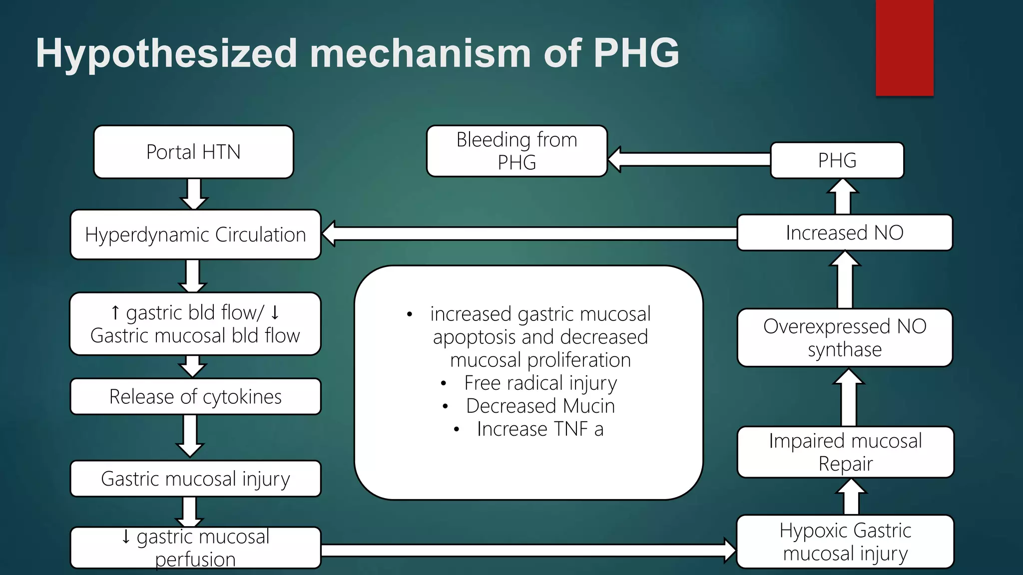 PORTAL HYPERTENSIVE GASTROPATHY | PPTX
