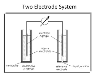 P h glass electrode | PPT
