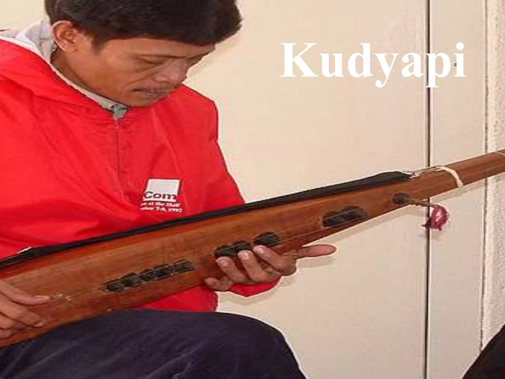 pHIL. musical instruments.pptx