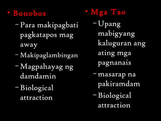 Philematology revised | PPT