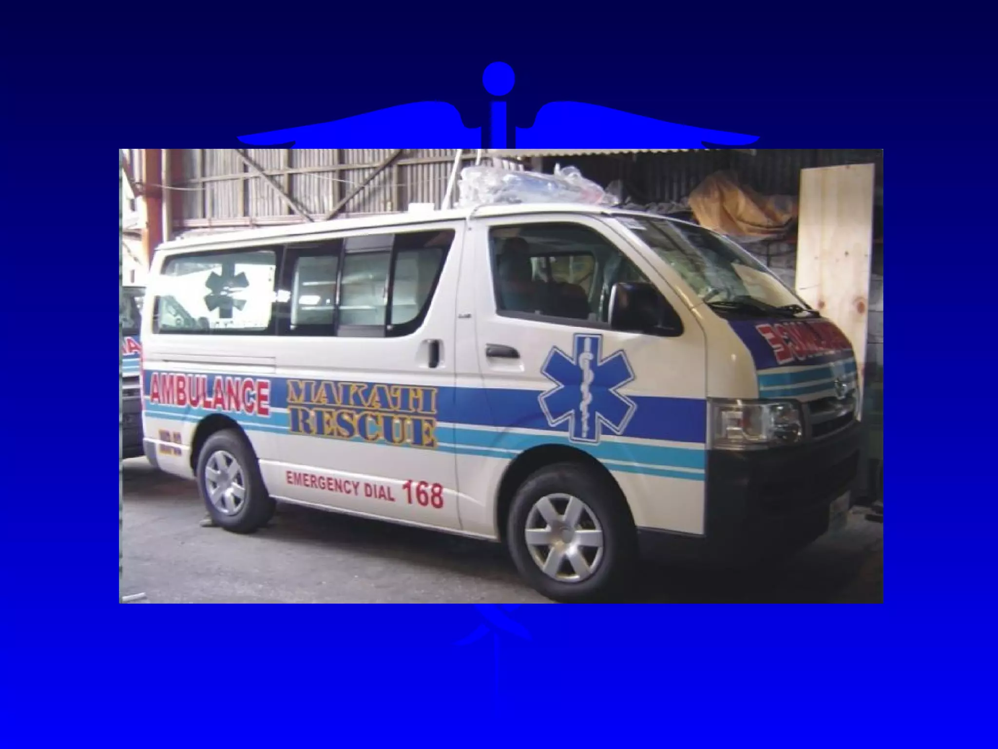 Phil ems system | PDF