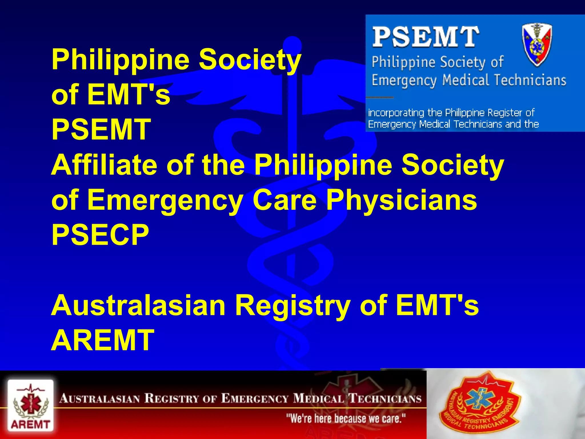 Phil ems system | PDF