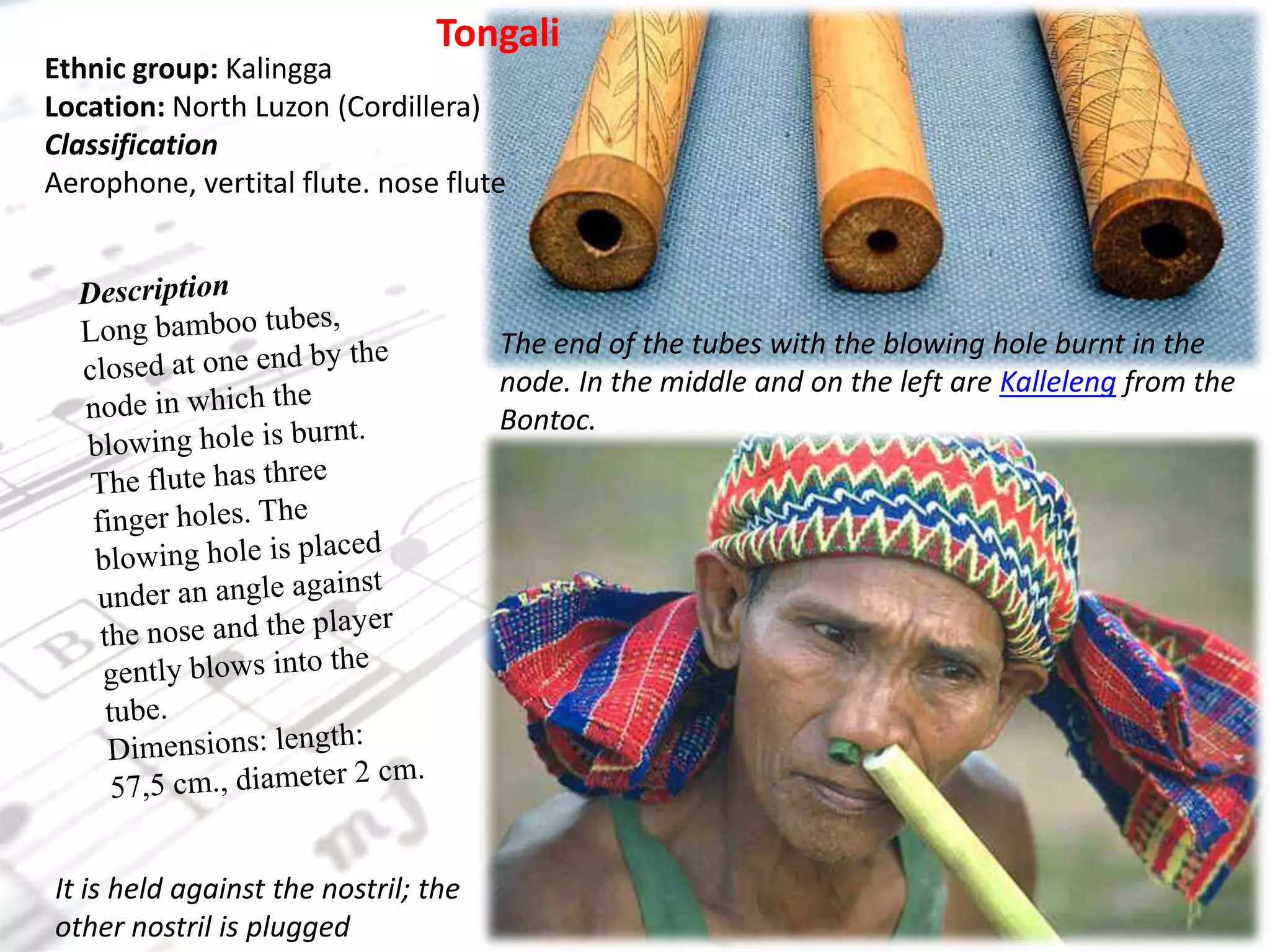 Philippine Ethnic Musical Instruments | PPTX