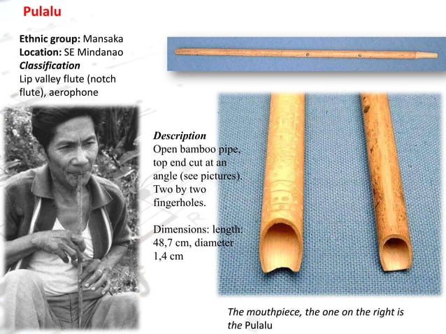 Philippine Ethnic Musical Instruments | PPTX