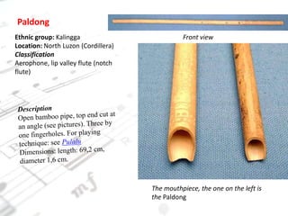 Paldong Instrument