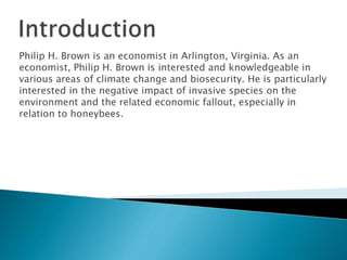 The Small Hive Beetle's Impact on Bee Colonies and Honey Production | PPTX