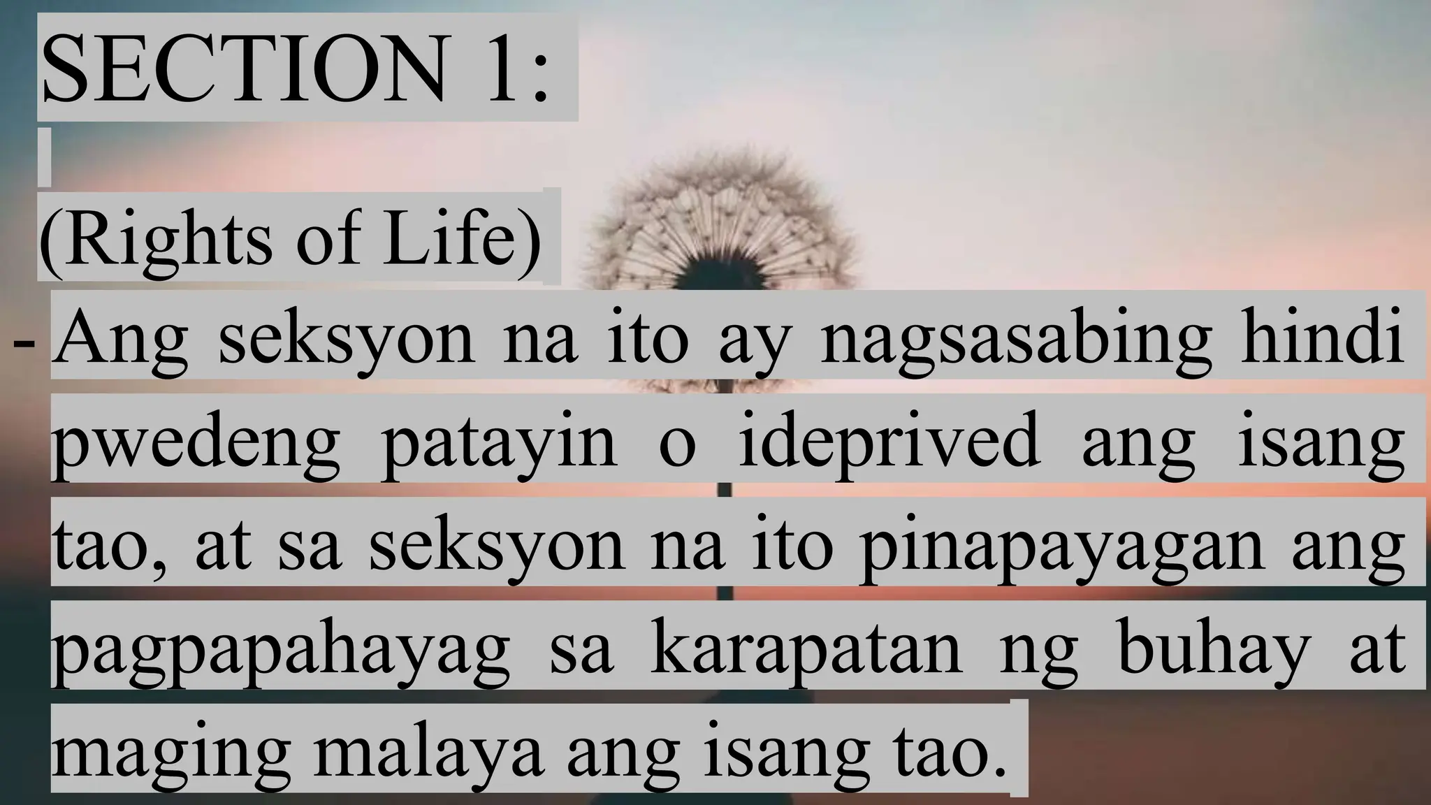 PHILIPPINE CONSTITUTION 1987 ARTICLE 3 SEC Final.pptx