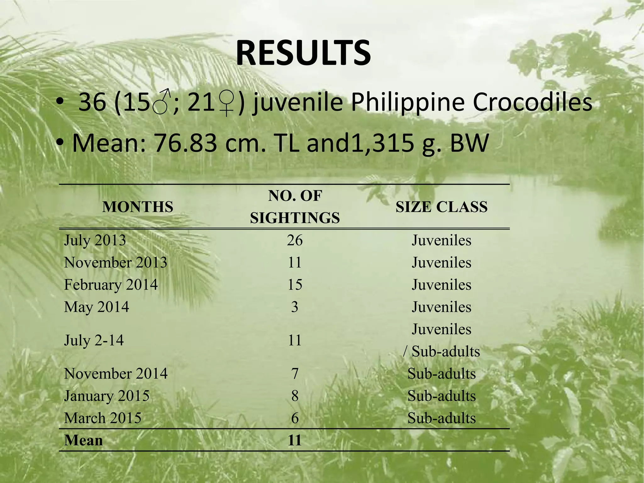 Philippine crocodile release program (status update) | PDF