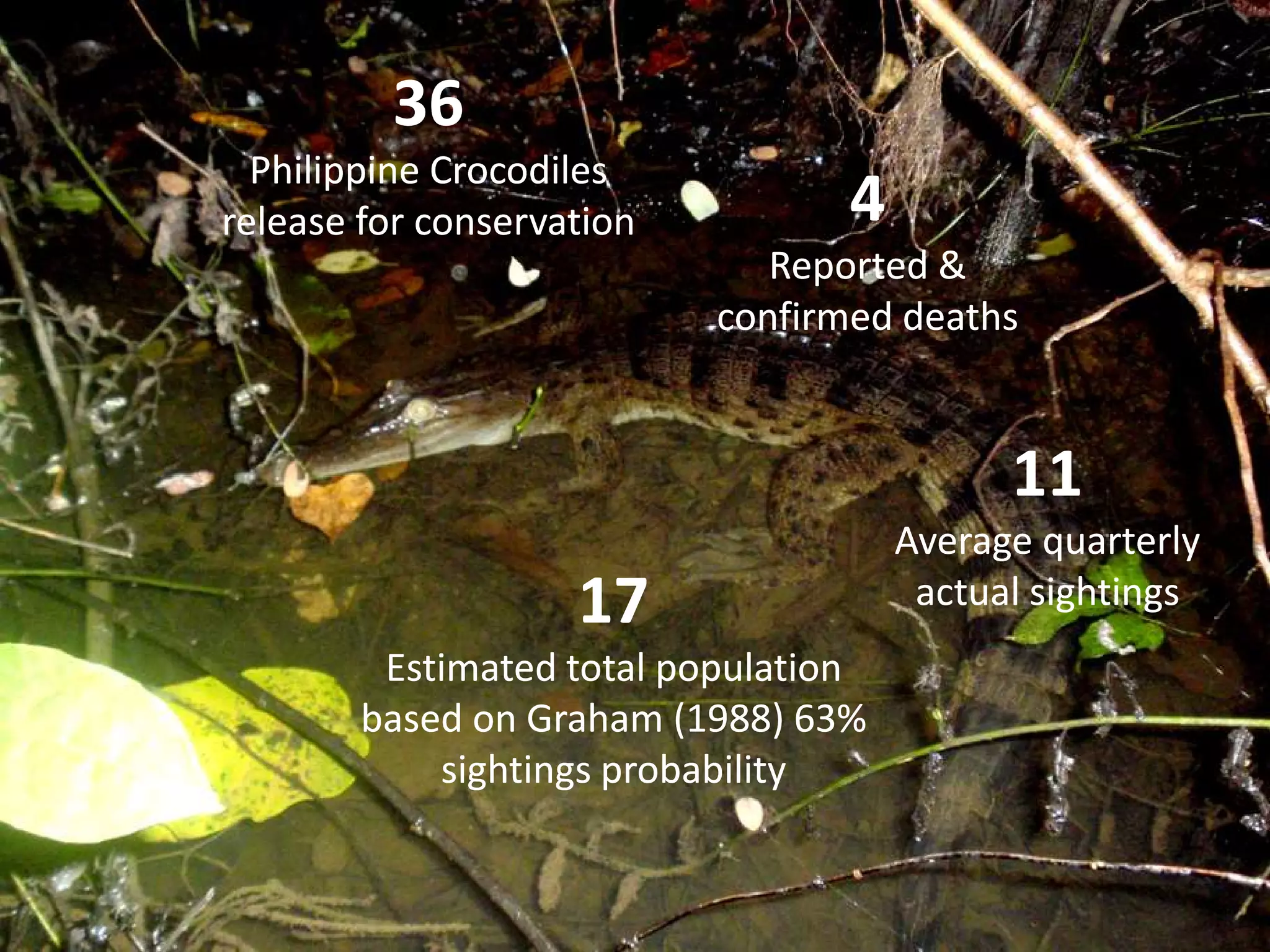 Philippine crocodile release program (status update) | PDF