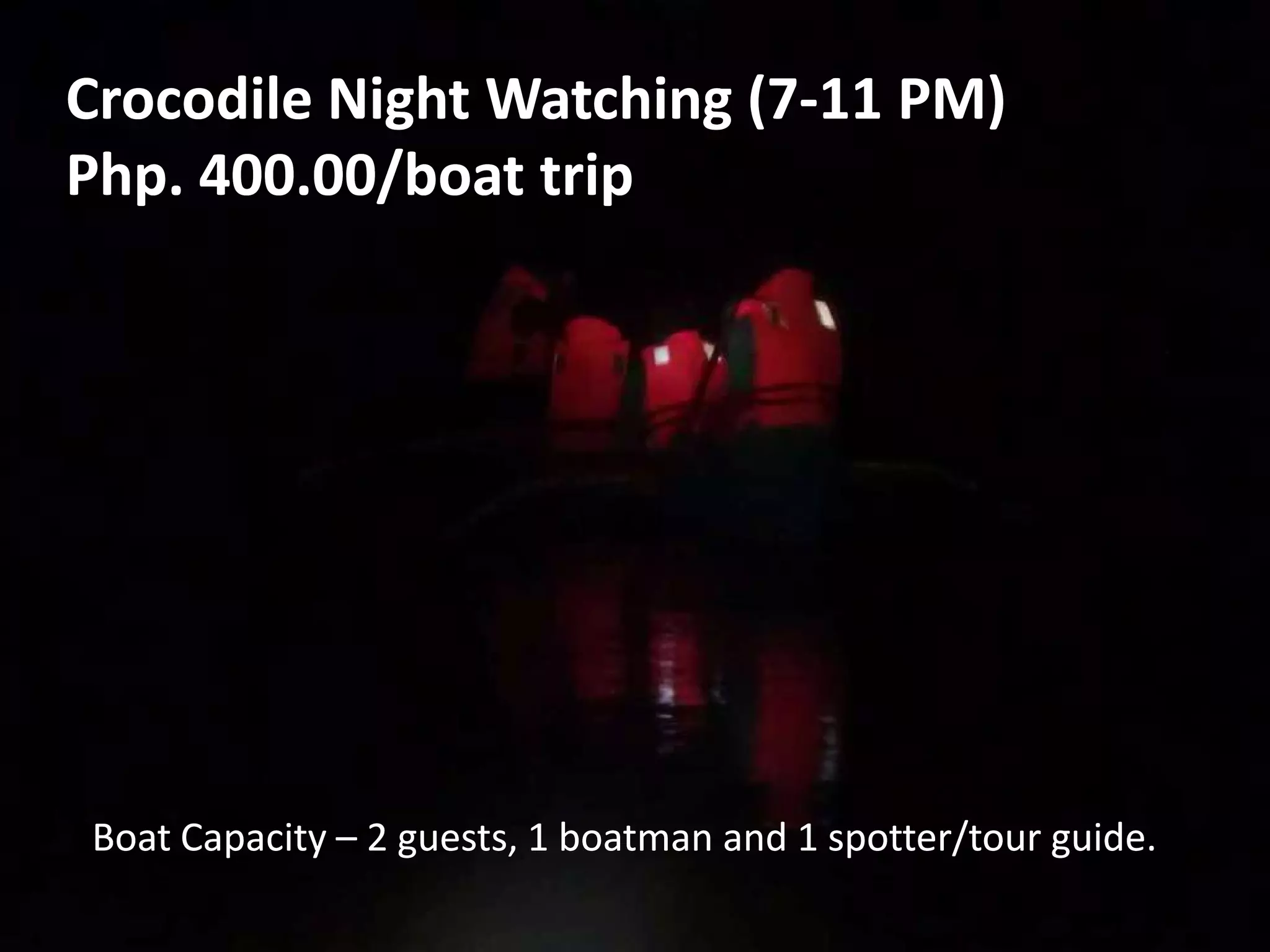 Philippine crocodile release program (status update) | PDF