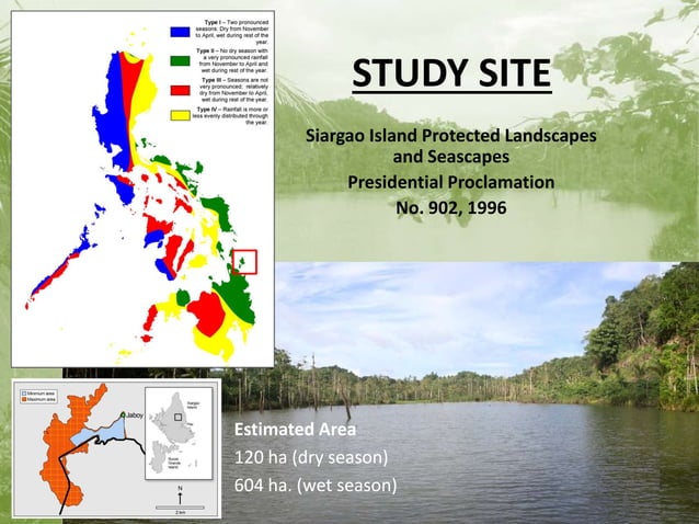 Philippine crocodile release program (status update) | PDF