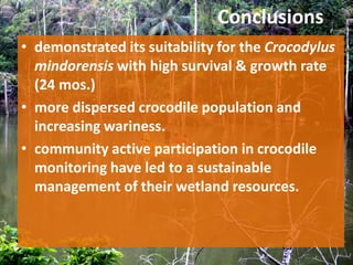 Philippine crocodile release program (status update) | PDF