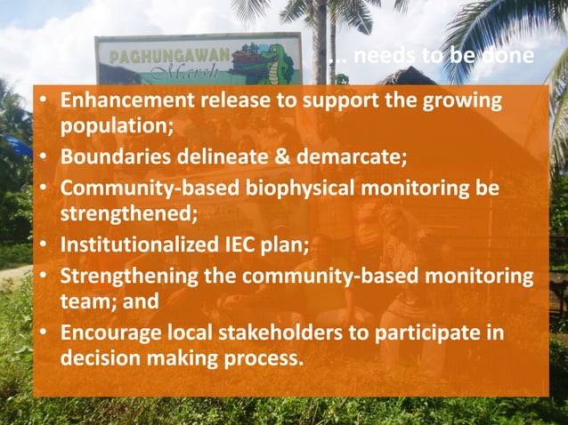 Philippine crocodile release program (status update) | PDF