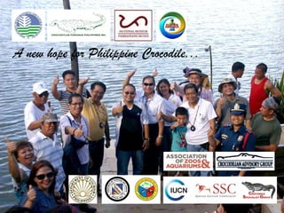 Philippine crocodile release program (status update) | PDF