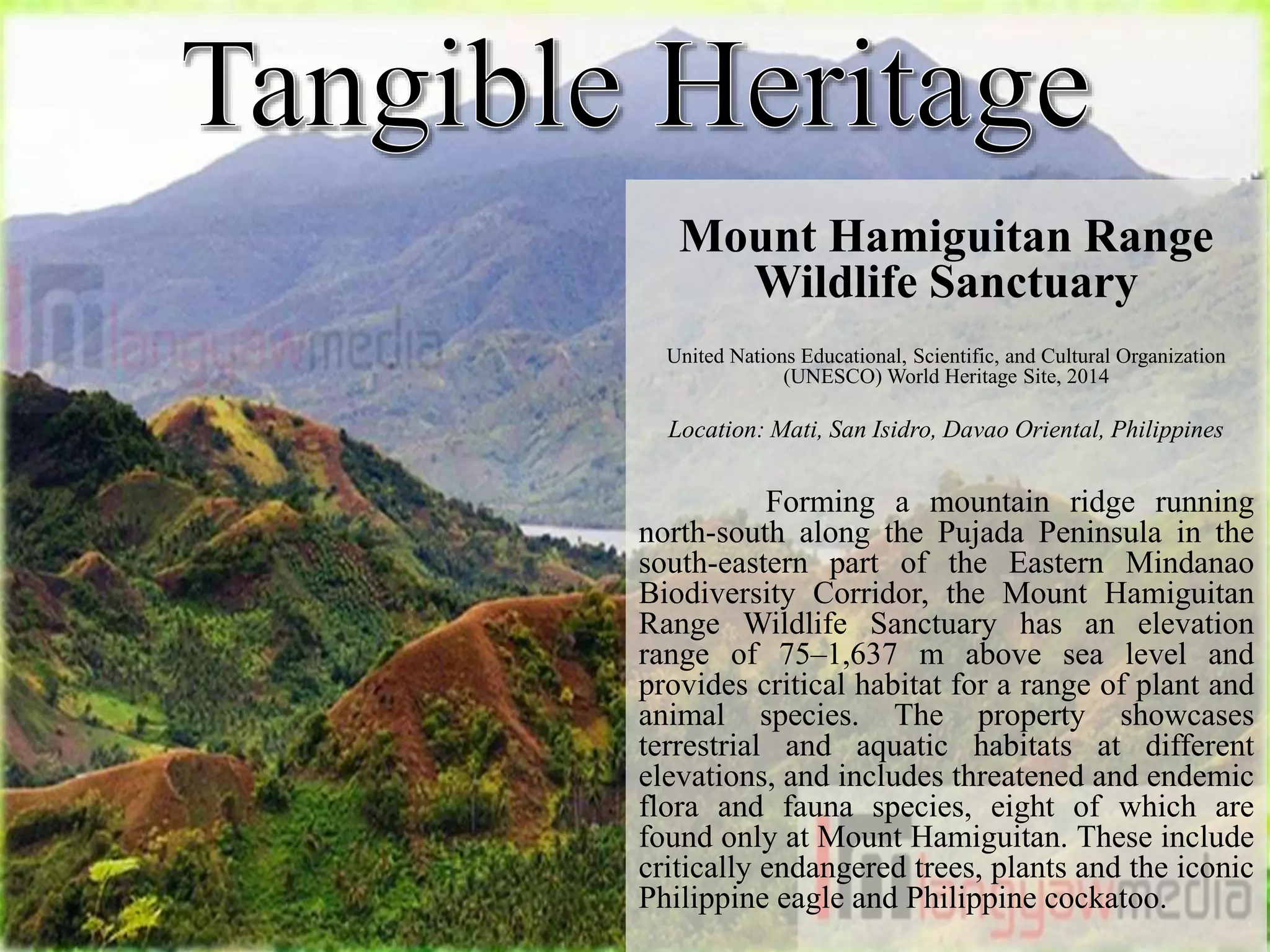 Philippine Cultural Heritage | PPTX