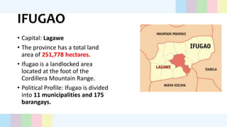 PHILIPPINE CULTURE LESSON 4 - CAR.ppt