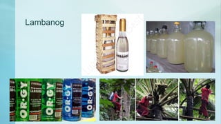 Philippine distilled spirits | PPT