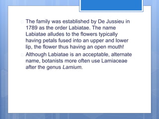 Philippine diversity of Family Lamiaceae | PPTX