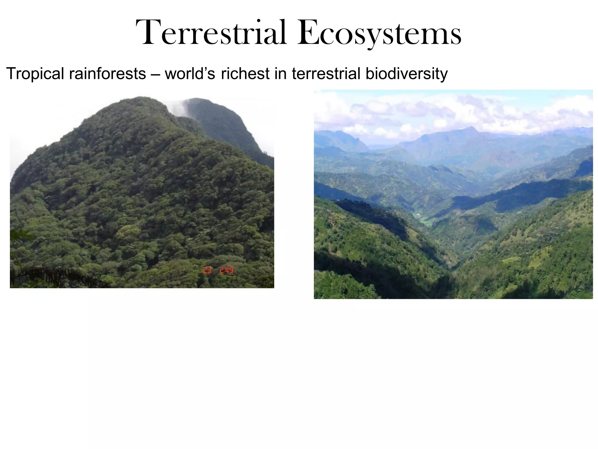 Philippine ecosystems lecture notes | PDF