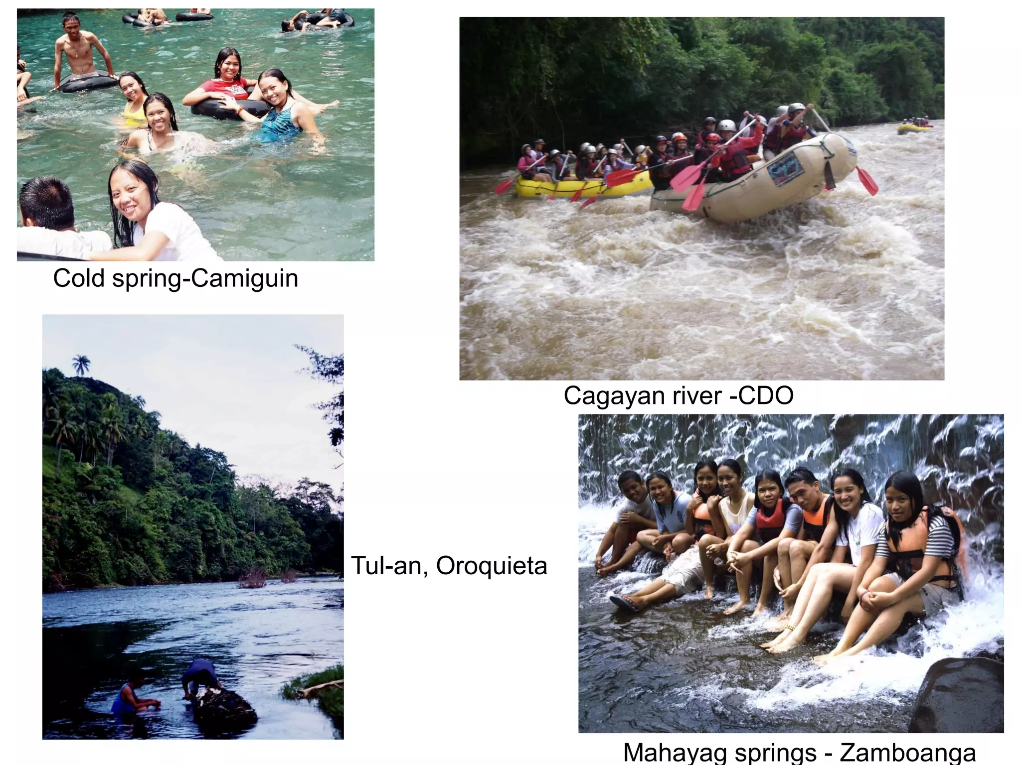 Philippine ecosystems lecture notes | PDF