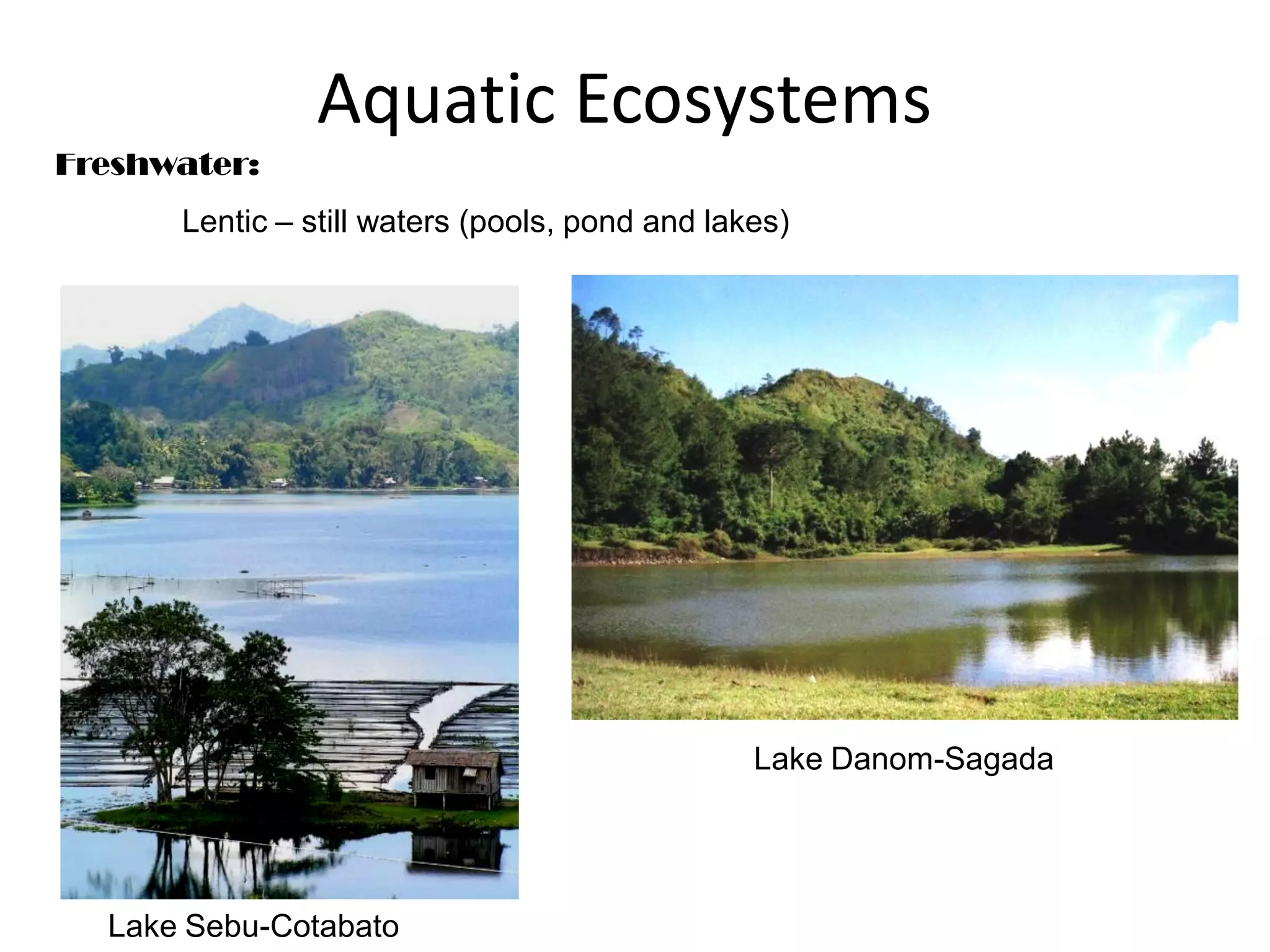 Philippine ecosystems lecture notes | PDF
