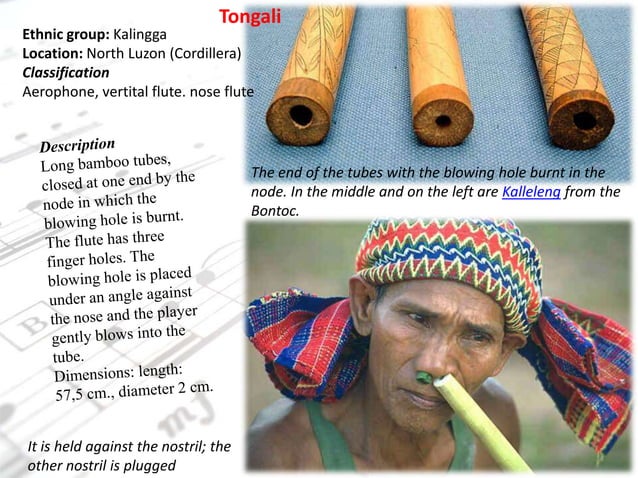 Philippine Ethnic Musical Instruments | PPT