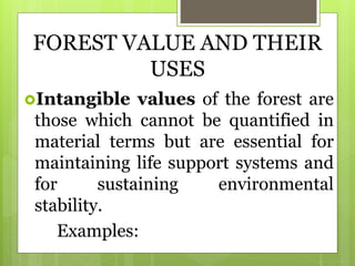 Philippine forest | PPTX