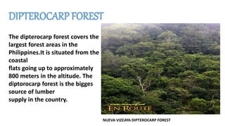 PHILIPPINE GEOGRAPHY GROUP 2 COPY.pptx