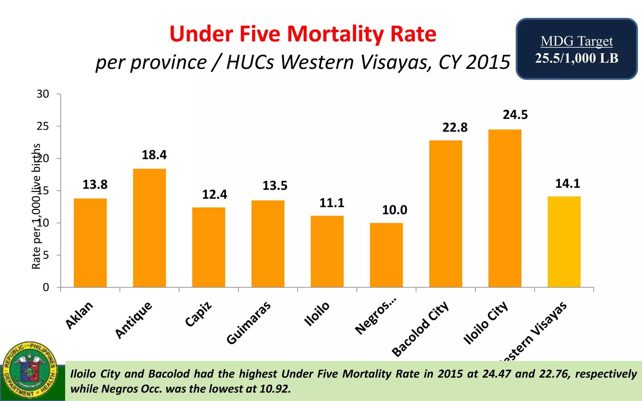 Philippine Health Care Delivery System | PPTX