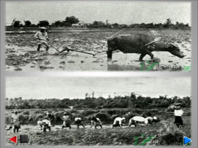 Philippinehistory pre-colonial-period