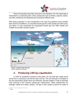 Liquefied Natural Gas Report 2015: Part 1 | PDF