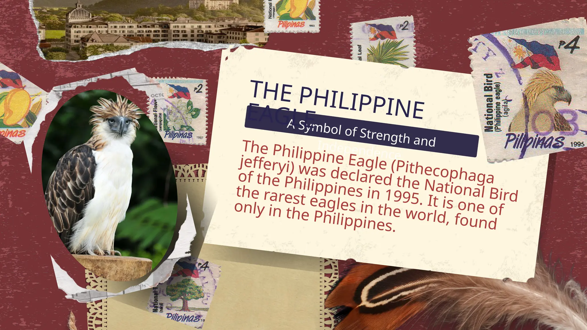 Pananakop ng mga Amerikano sa Pilipinas at Kasaysayan | PPTX