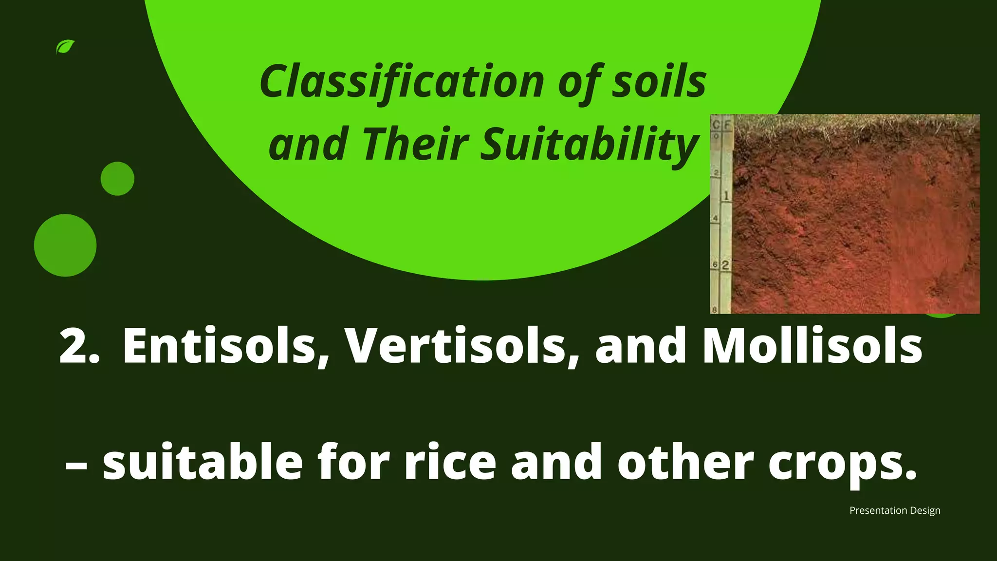 Philippine Natural Resources.pptx