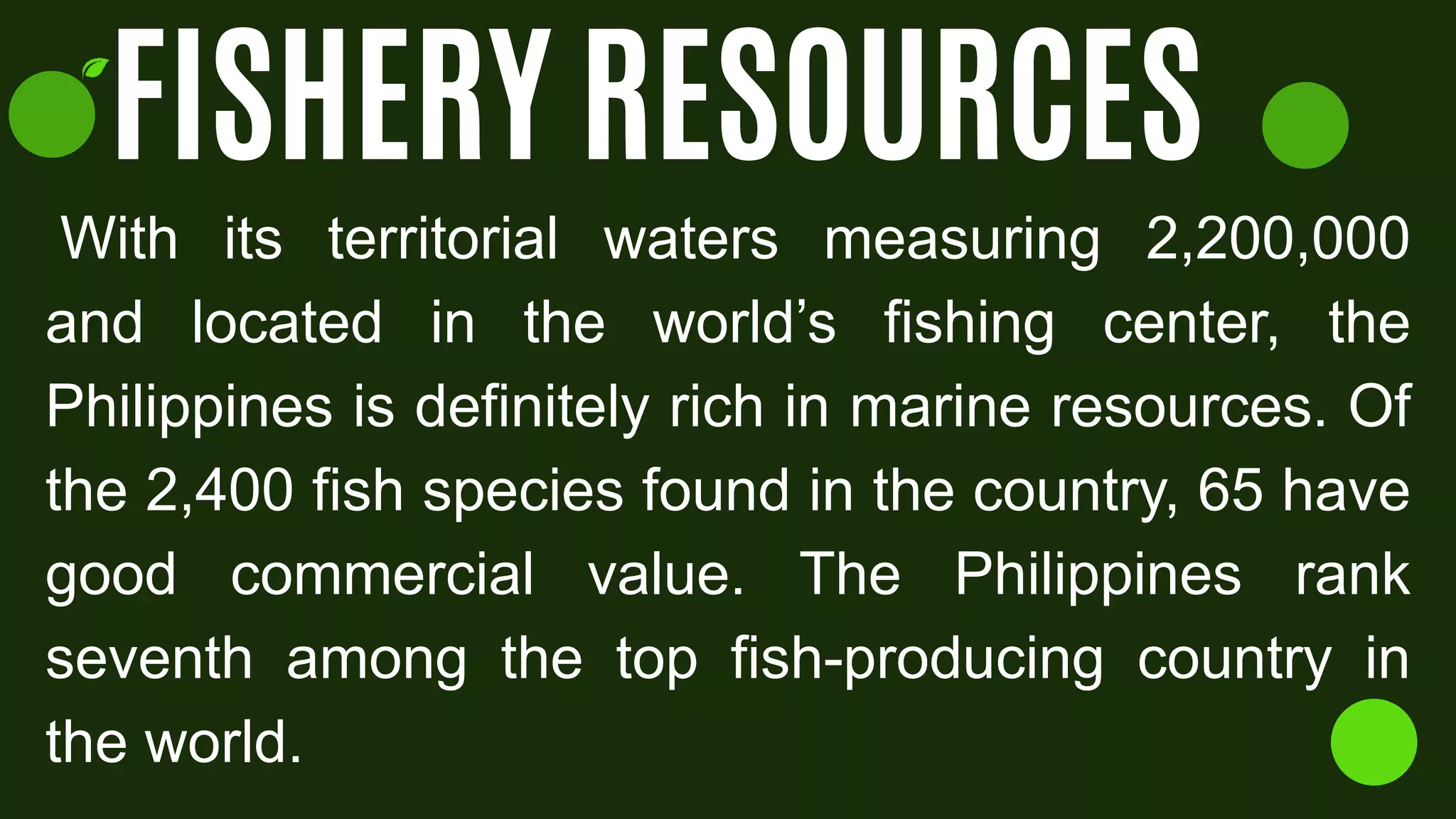 Philippine Natural Resources.pptx
