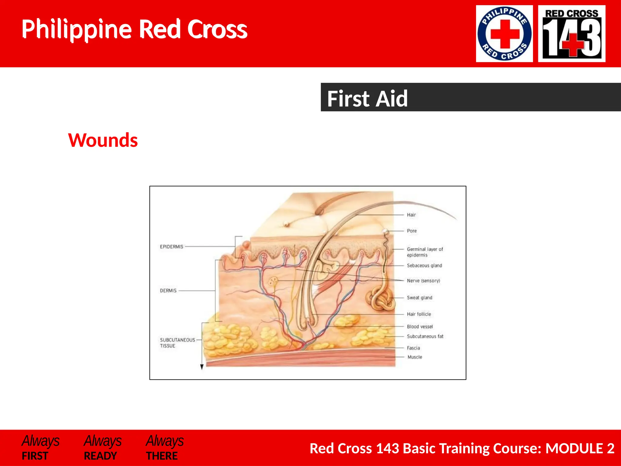 Philippine_Red_Cross_First_Aid_and_BLS_Module_2.pptx